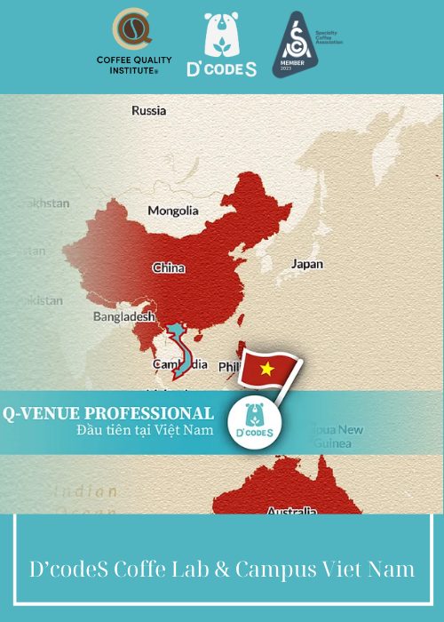 D'codeS Coffee Lab Vietnam| Trường Đào tạo cà phê hàng đầu theo tiêu chuẩn quốc tế SCA